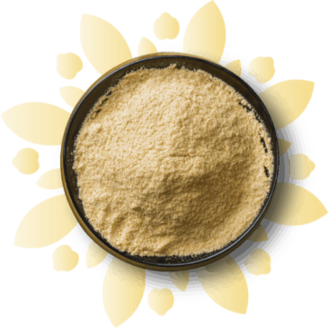 Pulse Flours - Atura